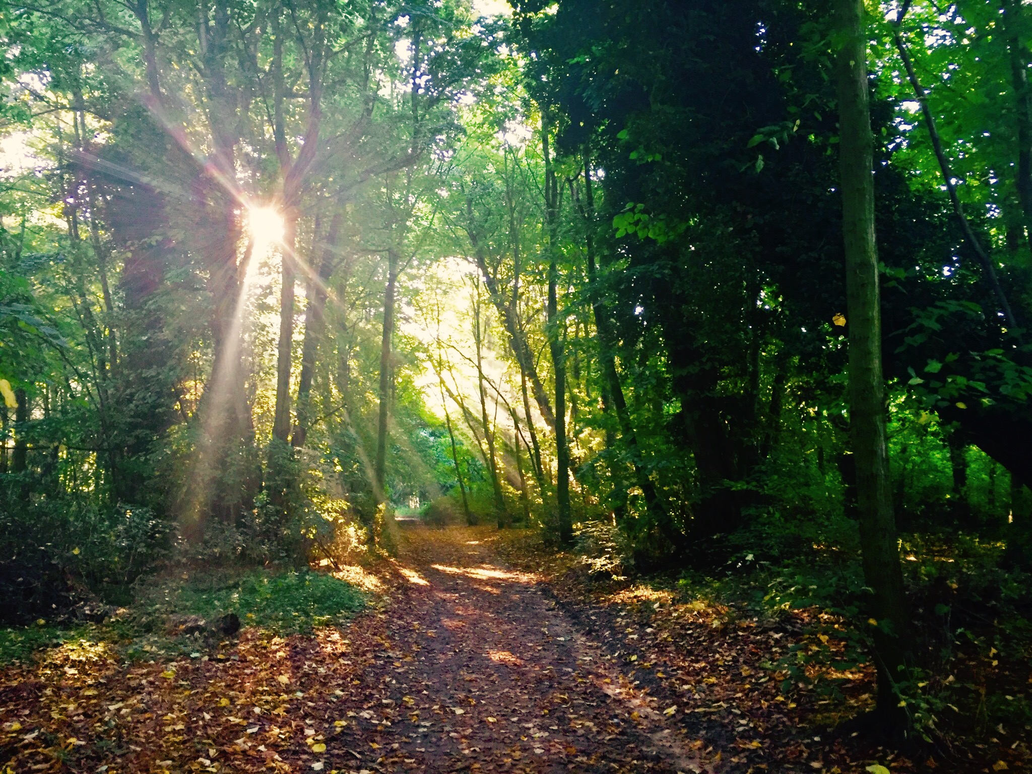 how humanistic magick works - Magenta School of Magick